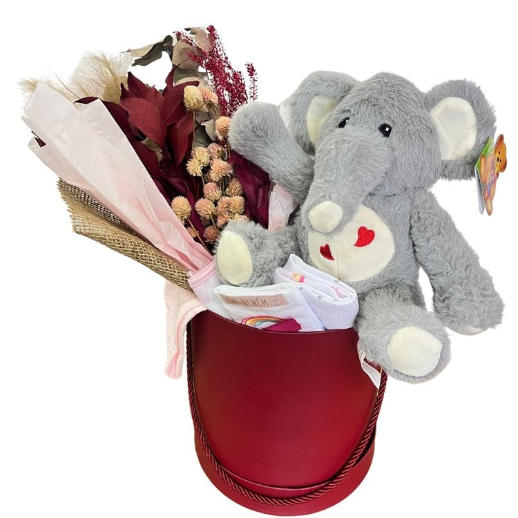 Kit Maternidade Bebê Vinho Elefante | Cestas Michelli